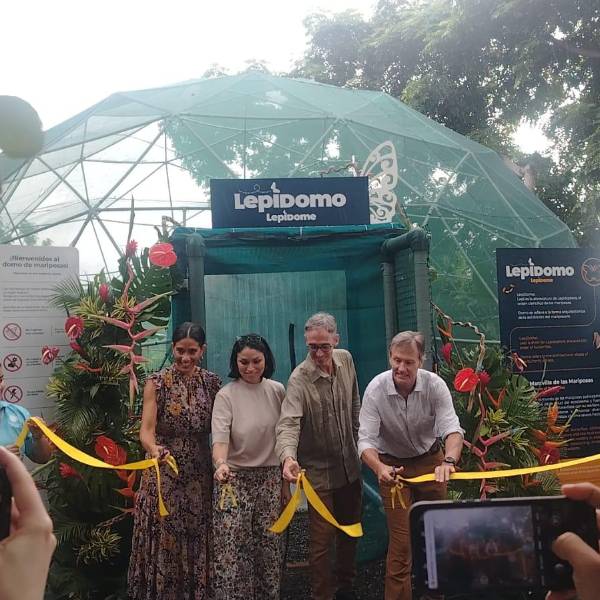 Punta Culebra cuenta con su ‘LepiDomo’