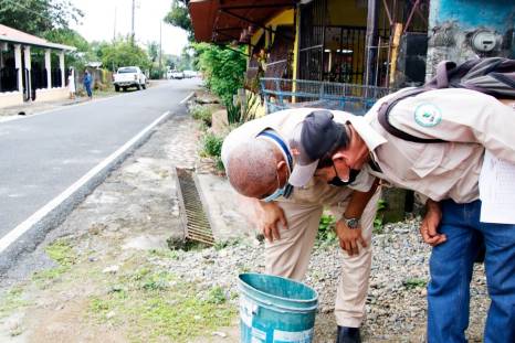 Dengue en Panamá: casos superan los 2,700 y autoridades mantienen ...