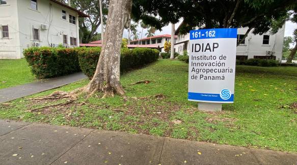 Presidente electo nomina a Alexandra Rodríguez como directora del Idiap