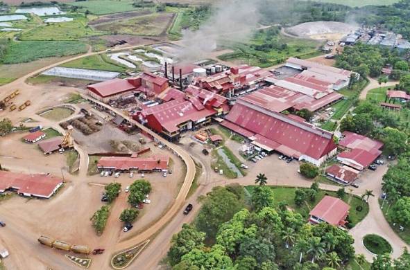 Calesa cumple 105 años a la vanguardia de la sostenibilidad