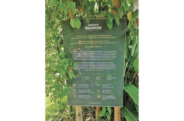 Lo que puedes hacer en Santa Marta y sus alrededores