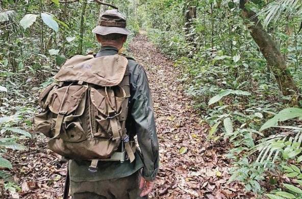 Luis Puleio: 'El hombre es un ser de la naturaleza'