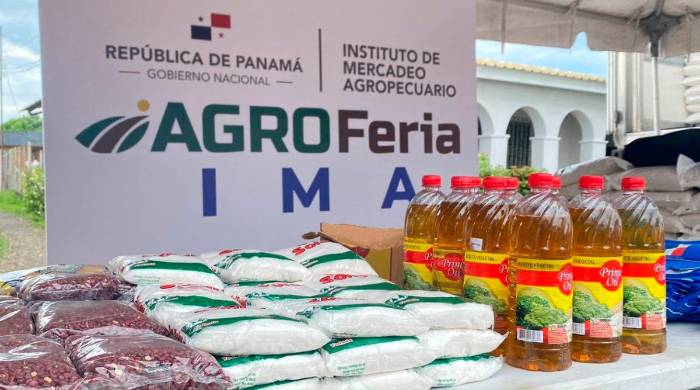 Logros significativos del IMA en el 2023